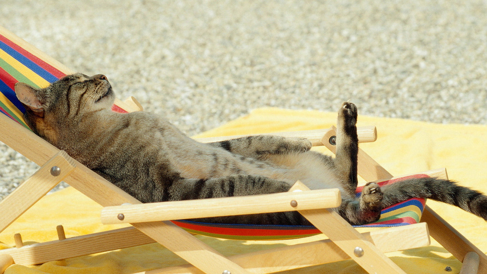 Sunbathing Wallpapers - Wallpaper Cave