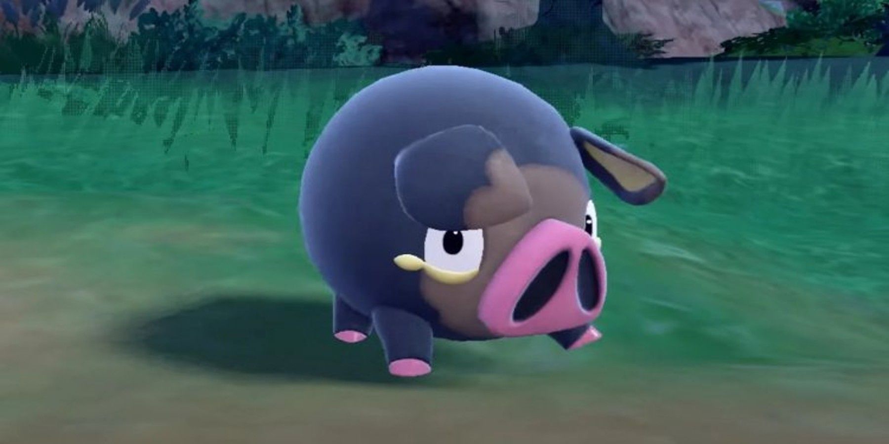 Lechonk Wallpapers - Wallpaper Cave