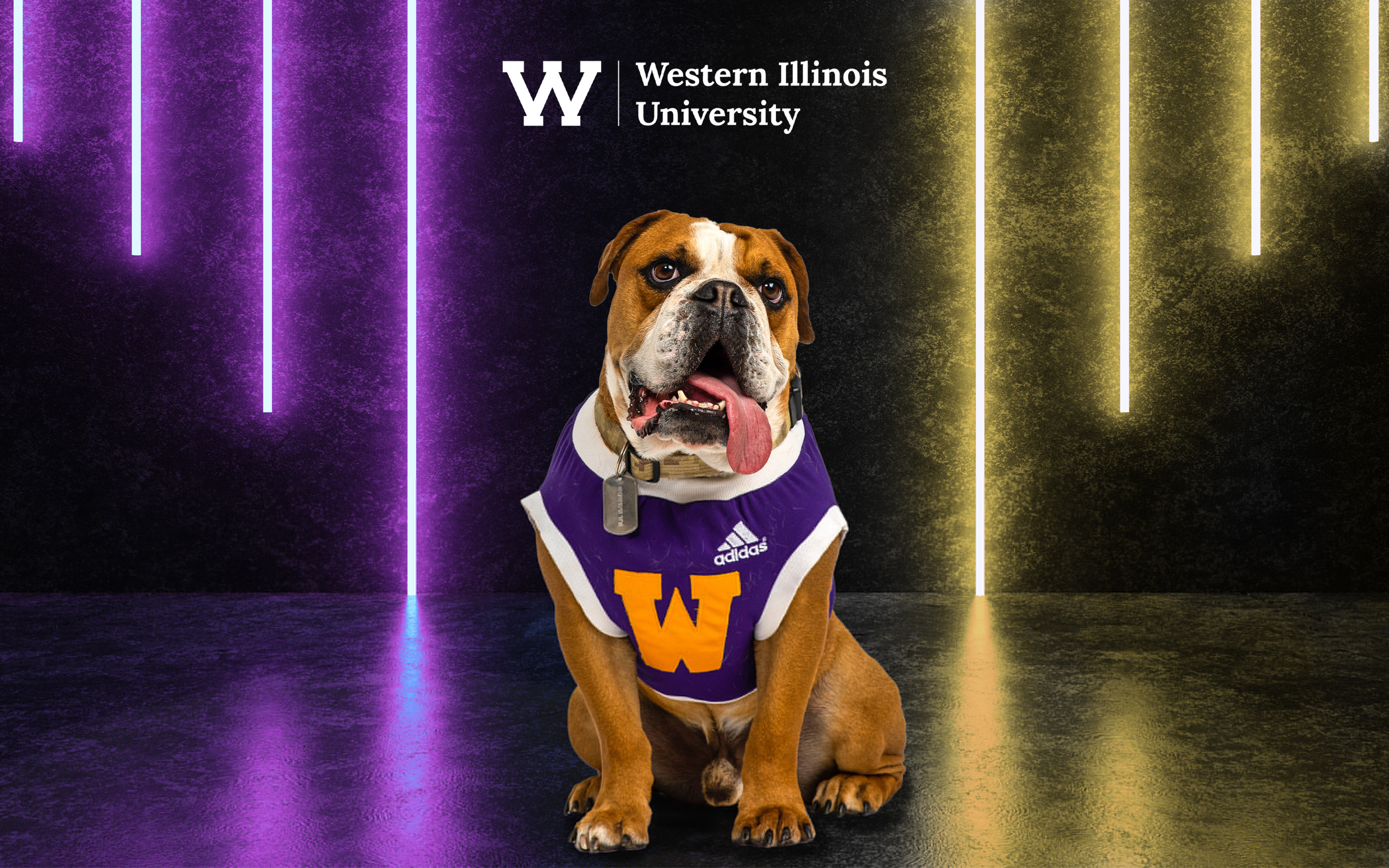 WIU Wallpapers - Wallpaper Cave