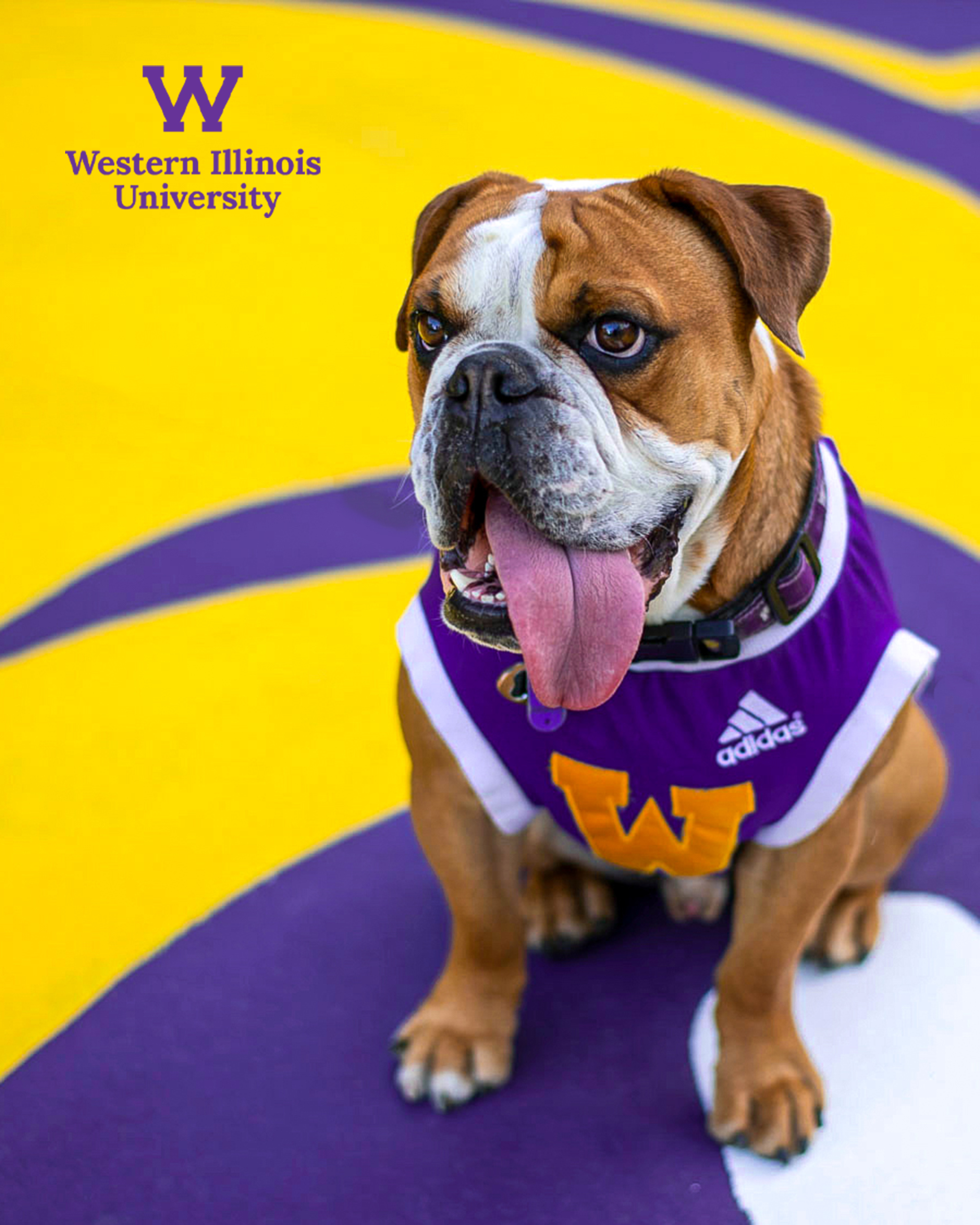 WIU Wallpapers - Wallpaper Cave