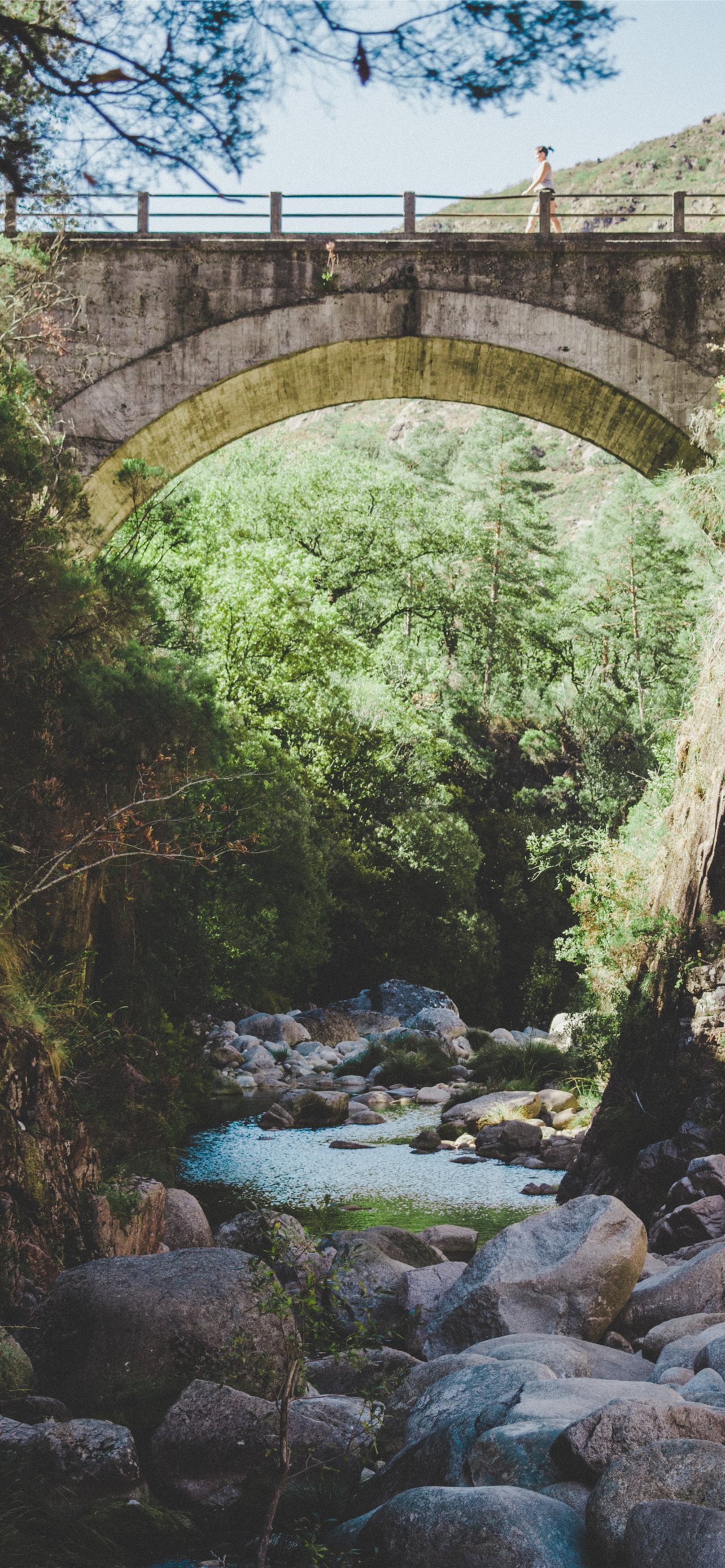 Spring Walk Wallpapers - Wallpaper Cave