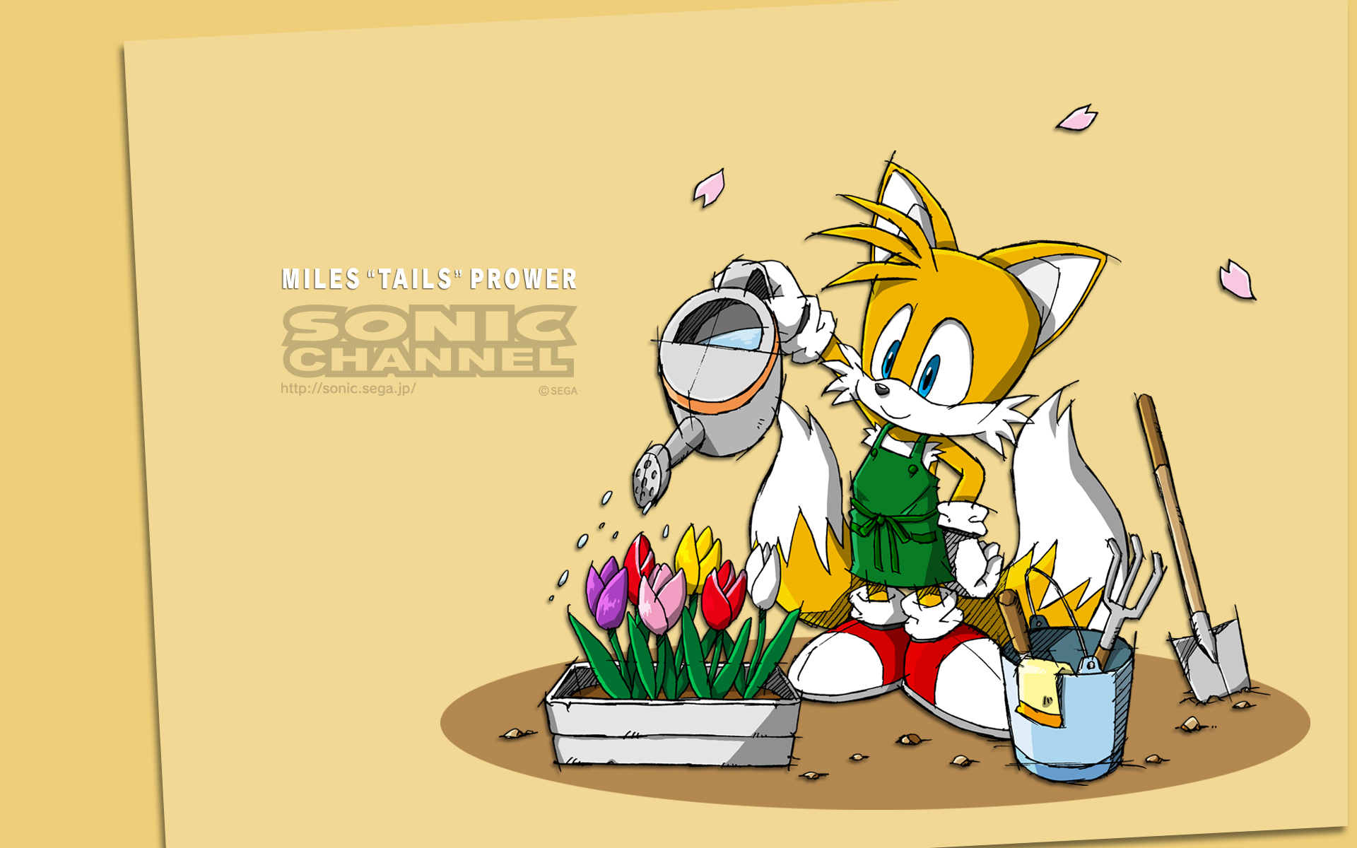 Cute Tails Wallpapers - Wallpaper Cave