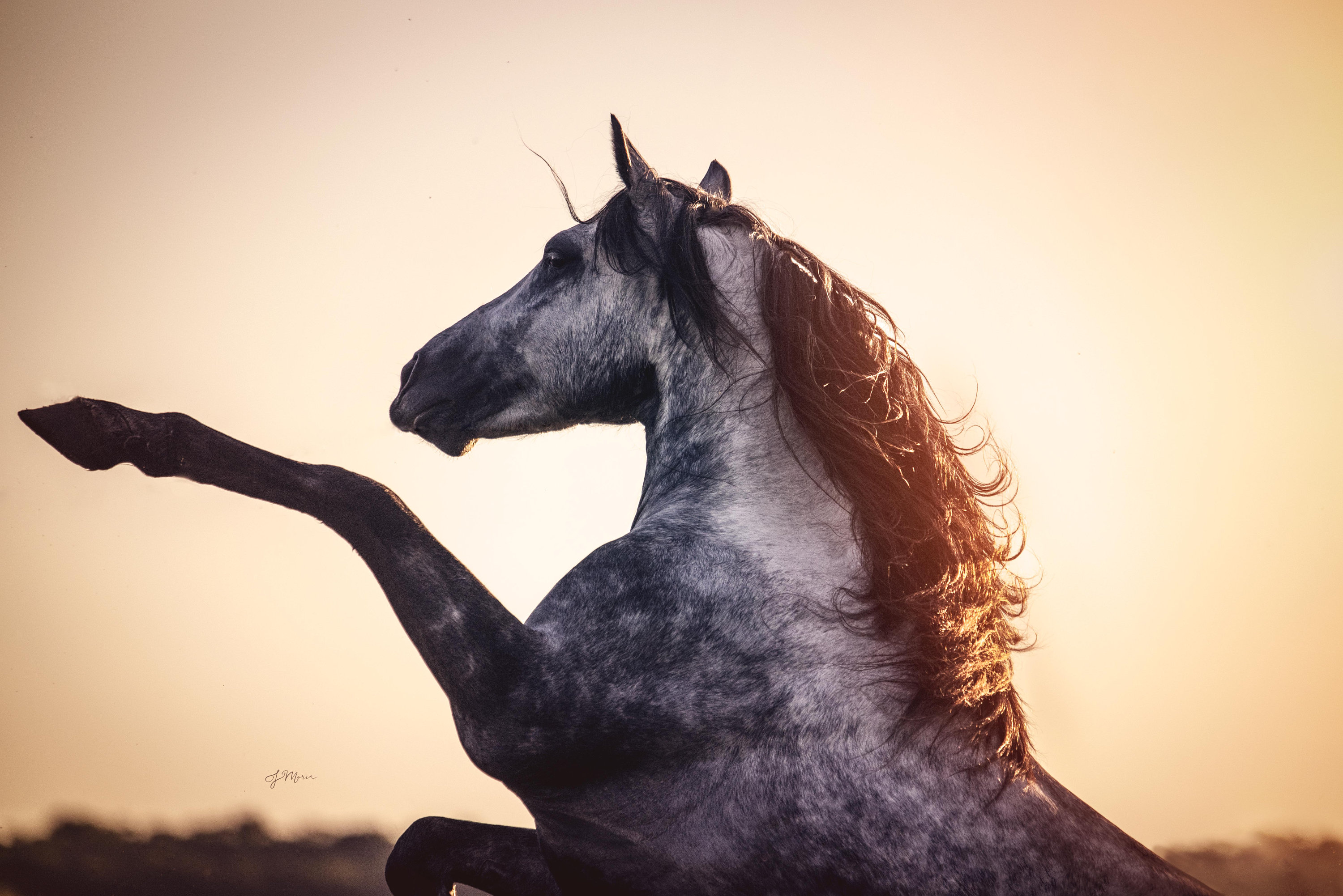 Warlander Wallpapers - Wallpaper Cave