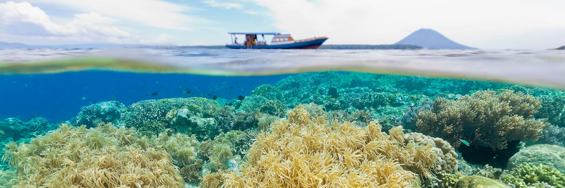 Osprey Reef Wallpapers - Wallpaper Cave