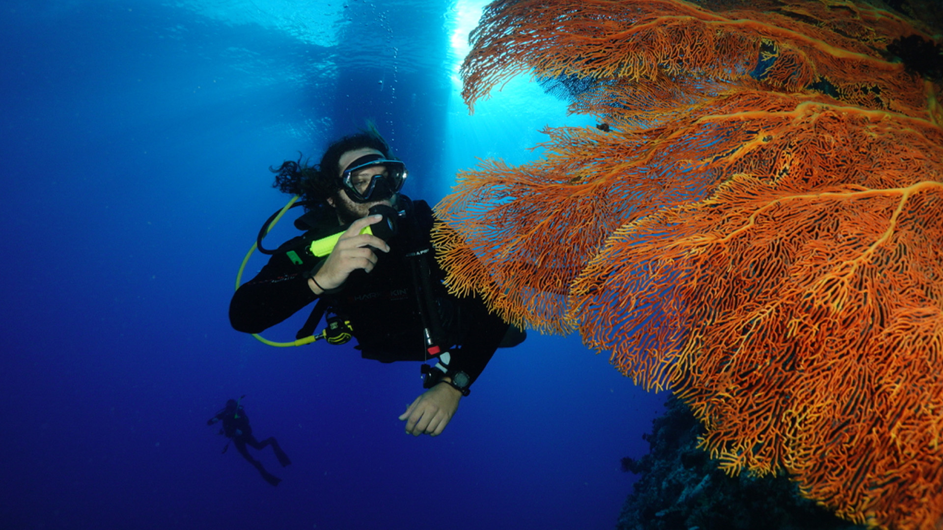 Osprey Reef Wallpapers - Wallpaper Cave