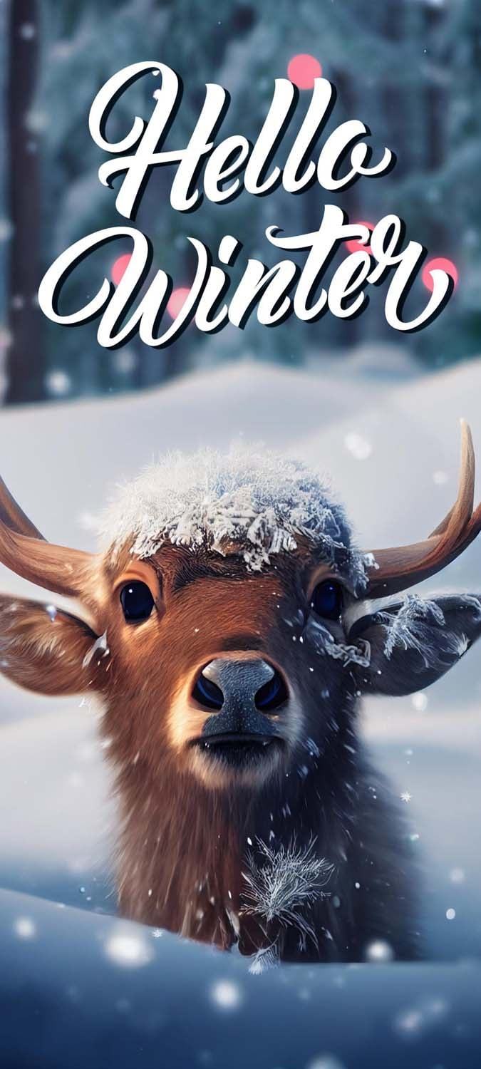 Hello Winter Wallpaper