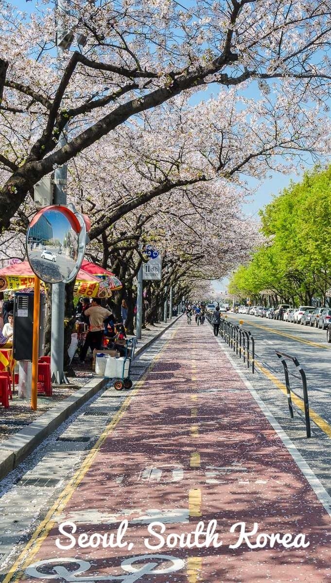 Spring Seoul Wallpapers - Wallpaper Cave