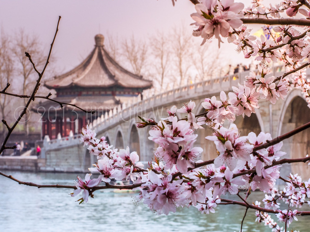 Spring Bejing Wallpapers - Wallpaper Cave