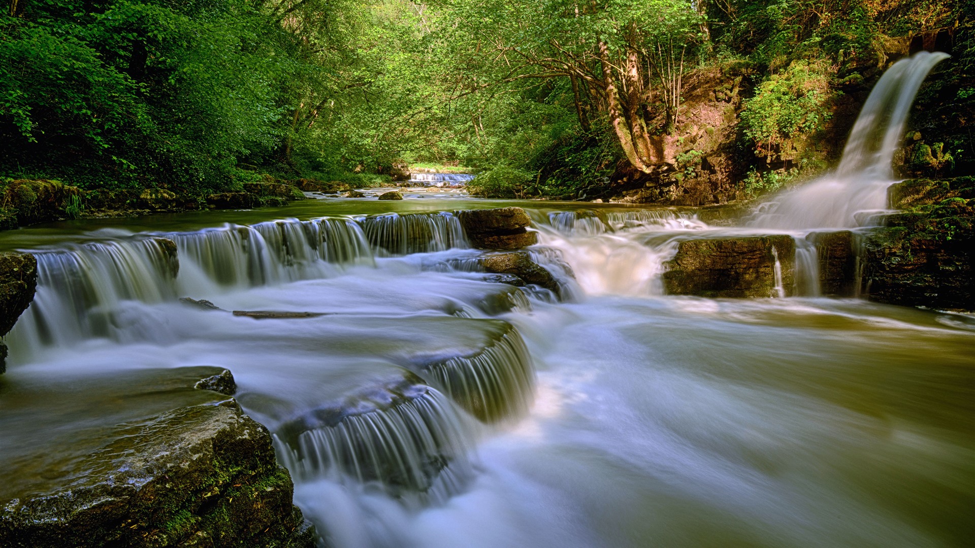 Spring Jungle Wallpapers - Wallpaper Cave