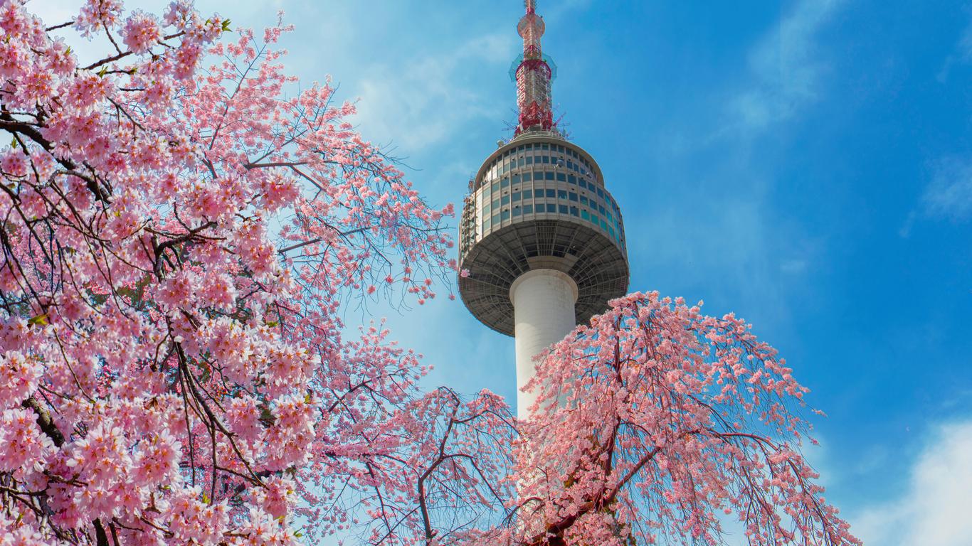 Spring Bejing Wallpapers - Wallpaper Cave