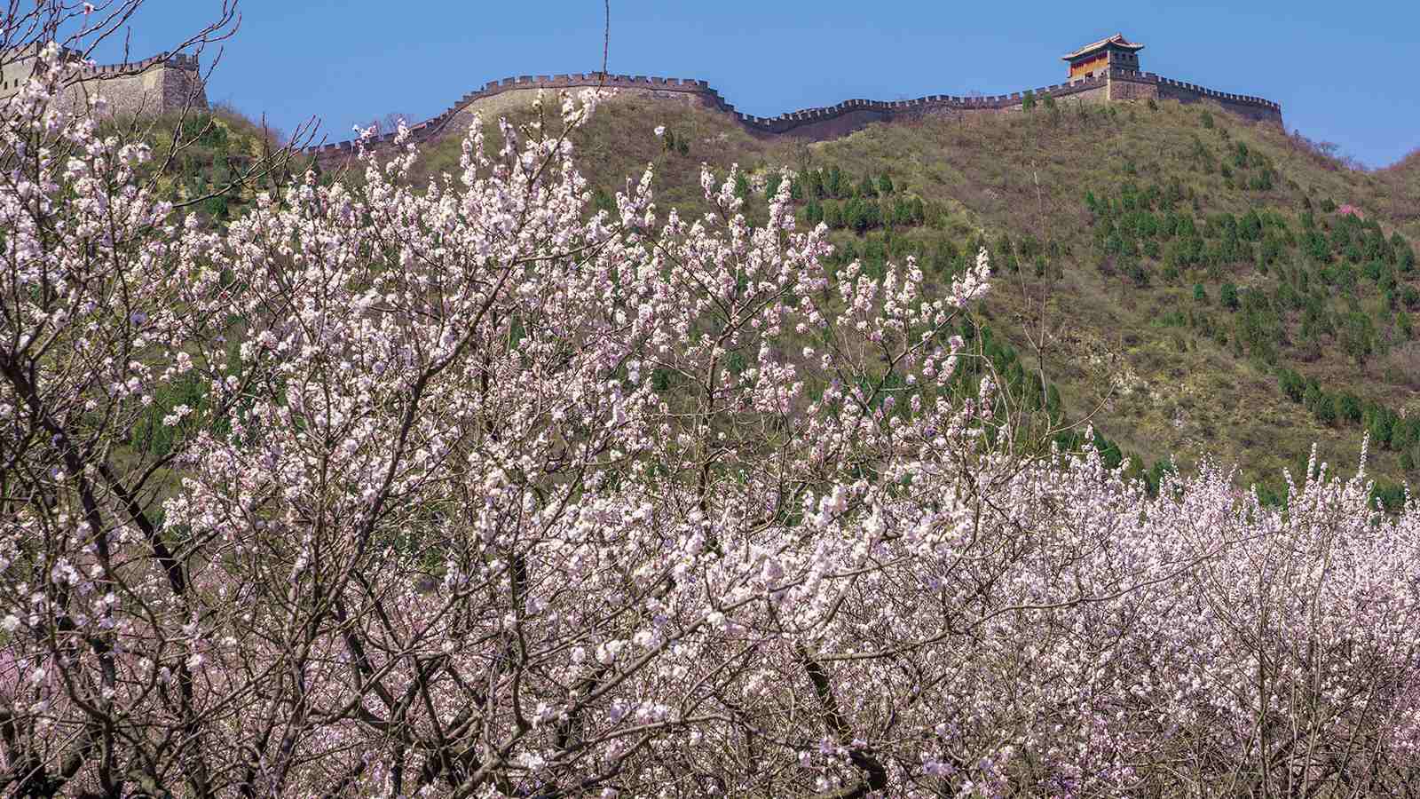Spring Bejing Wallpapers - Wallpaper Cave