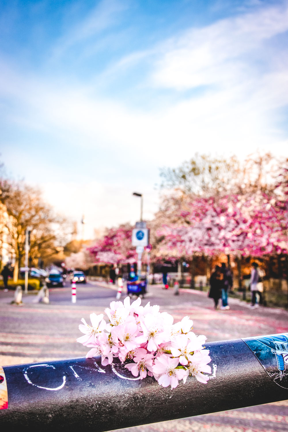 Spring Berlin Wallpapers - Wallpaper Cave