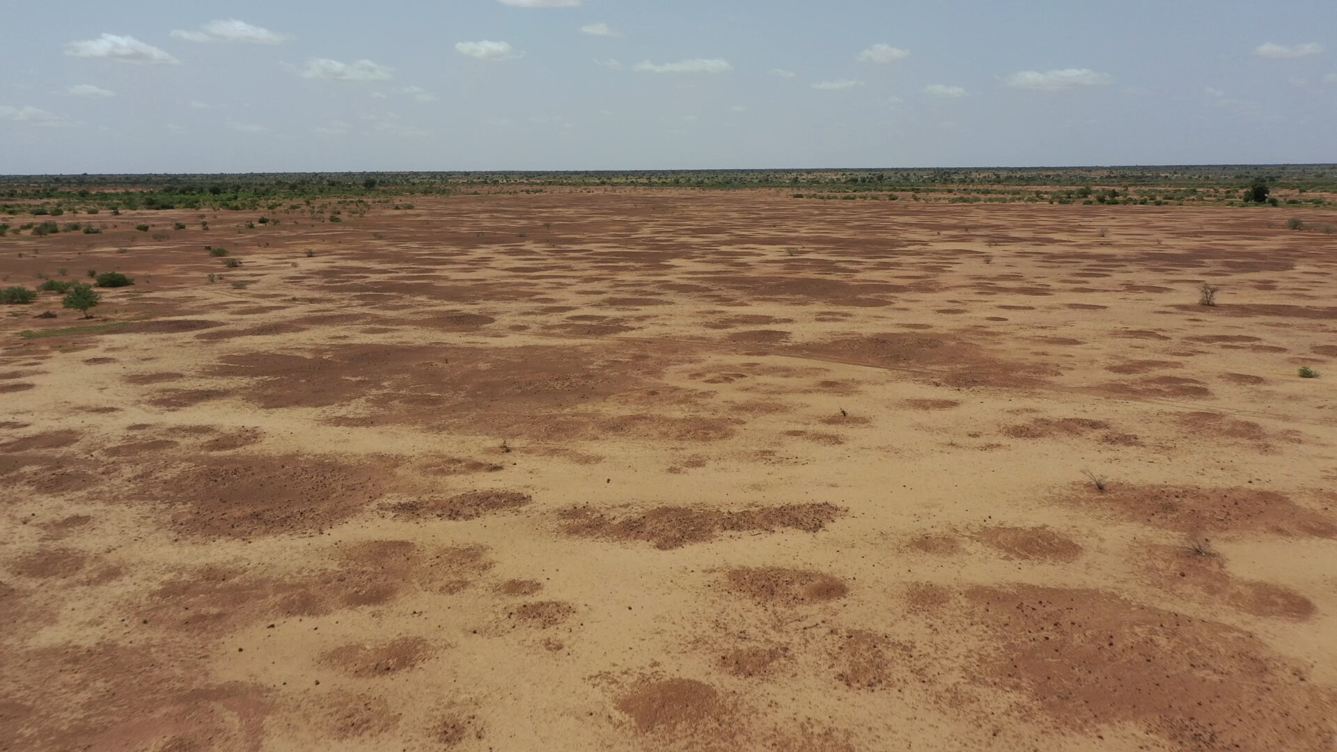 Desertification Wallpapers - Wallpaper Cave