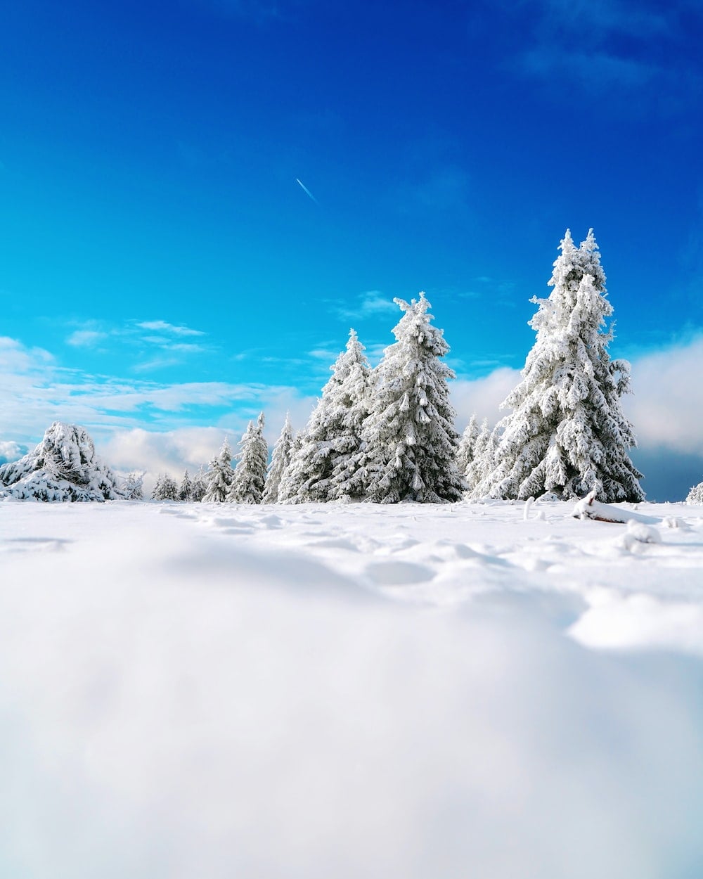 Winter Scene Blue Wallpapers - Wallpaper Cave