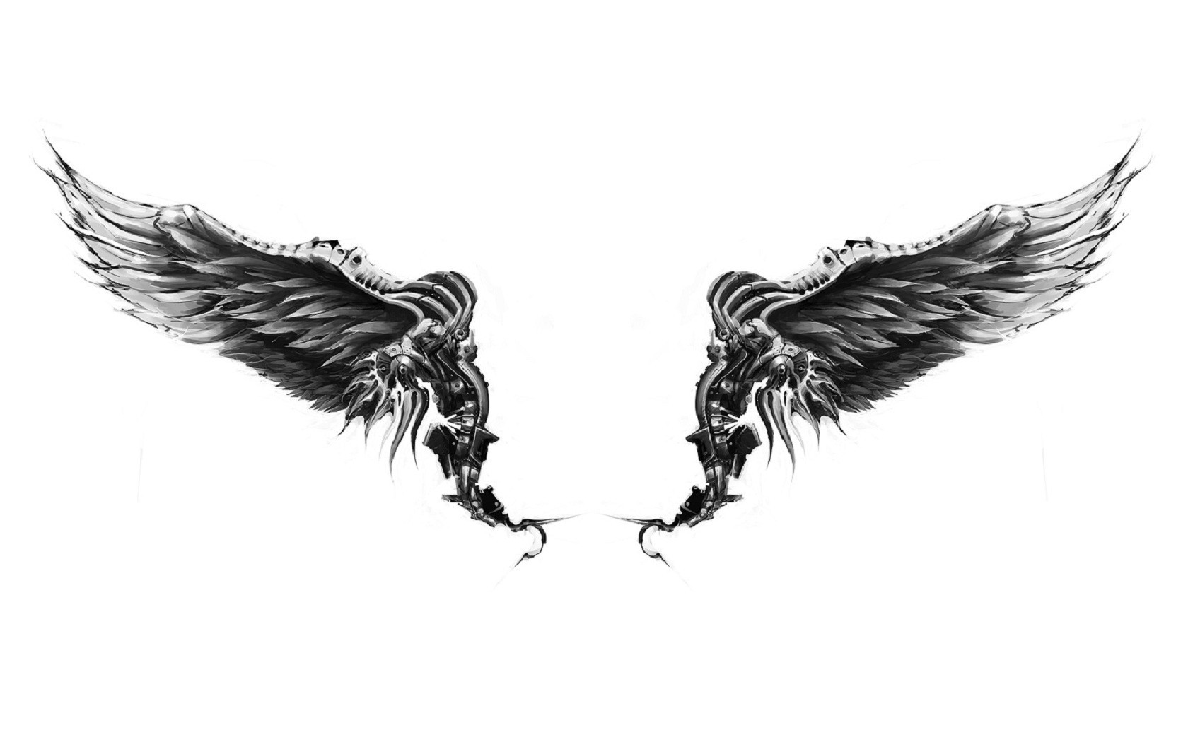 Black And White Wings Wallpapers - Wallpaper Cave