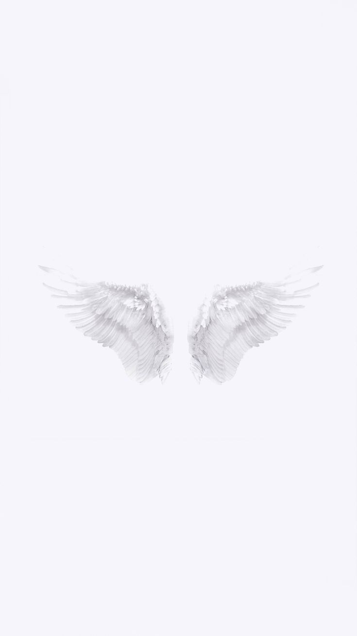 Black And White Wings Wallpapers - Wallpaper Cave