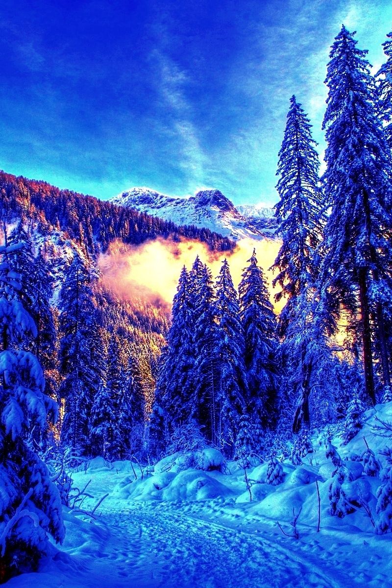 Colorful Winter Scenes Wallpapers - Wallpaper Cave