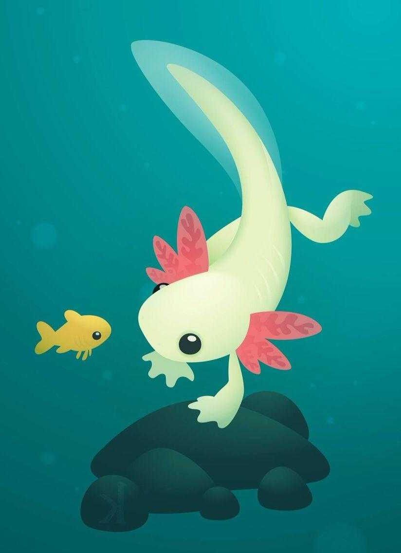 Axolotl Cartoon Wallpapers - Wallpaper Cave
