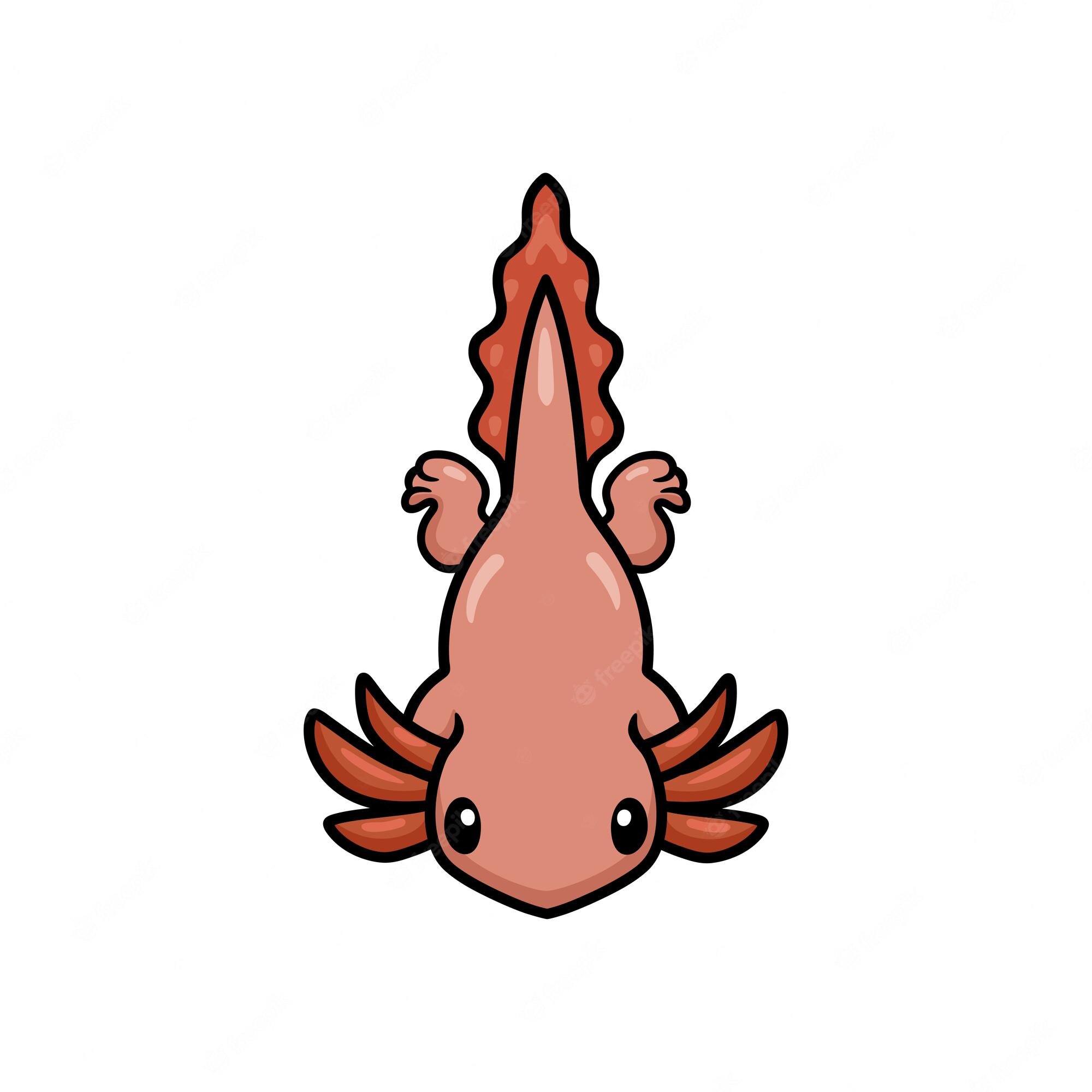 Cartoon Axolotl Wallpapers - Wallpaper Cave