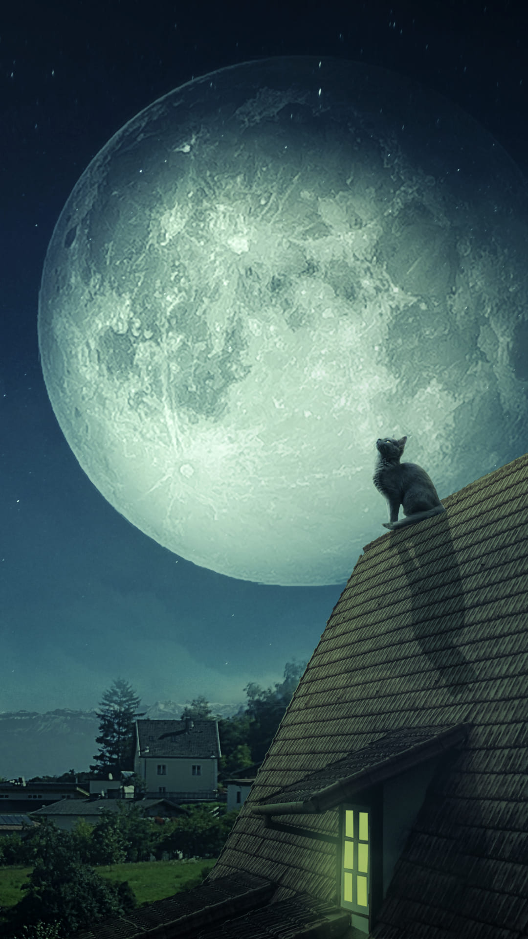 Night Cat Wallpapers - Wallpaper Cave