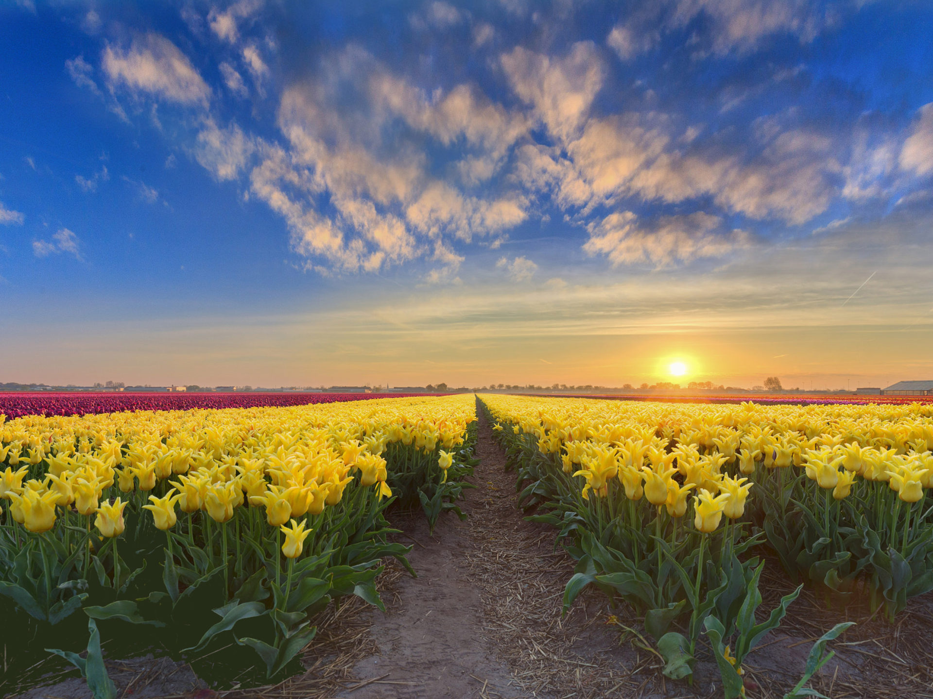 Spring Sunsets Laptop Wallpapers - Wallpaper Cave