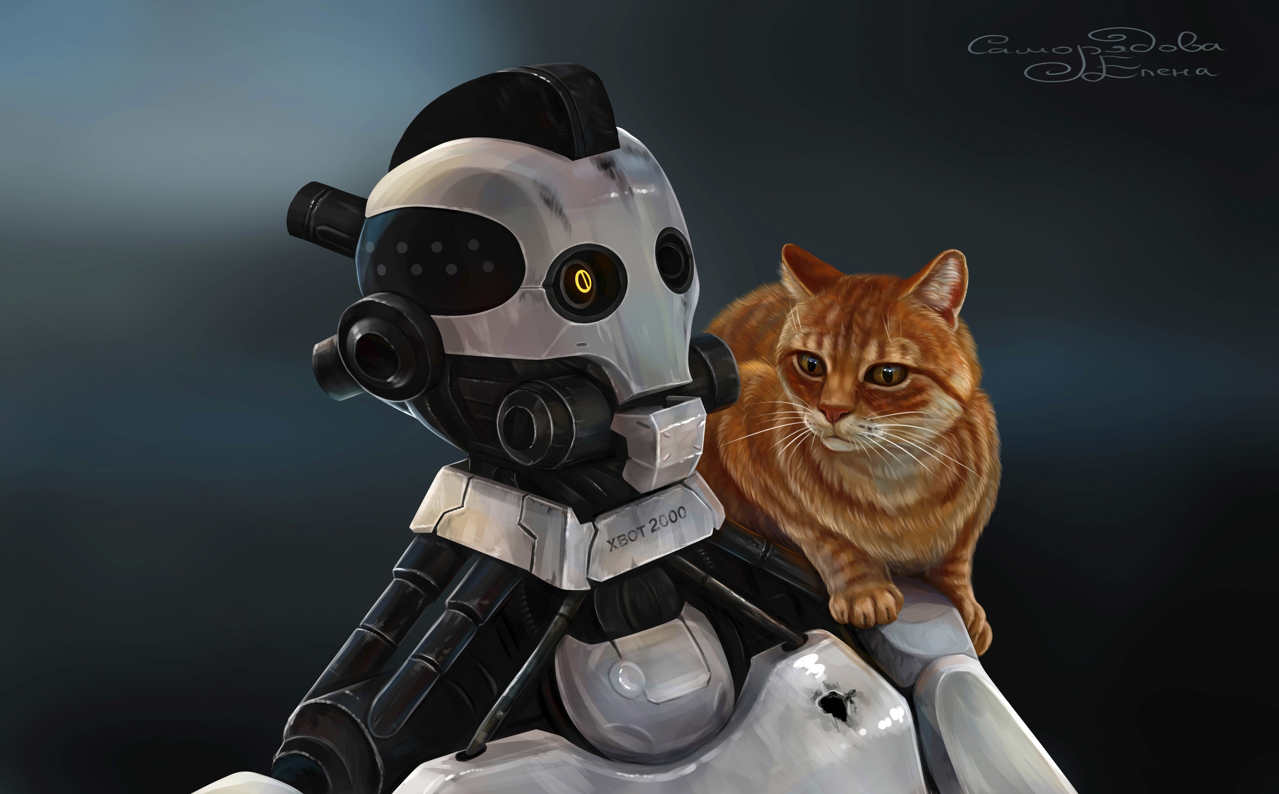 Robot Cat Wallpapers - Wallpaper Cave