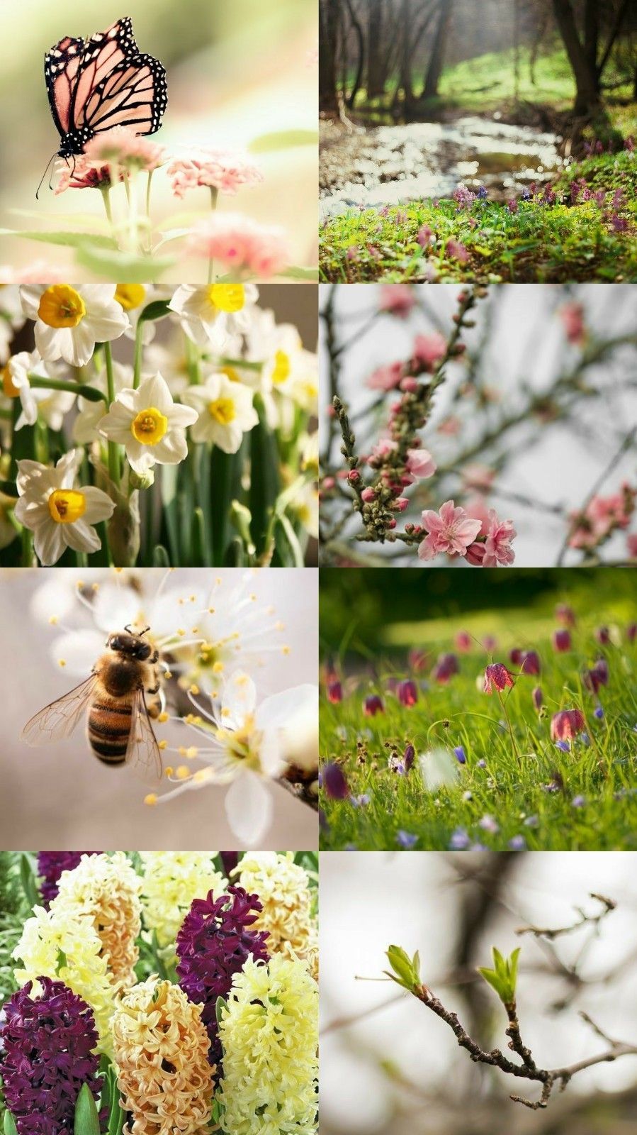 Bee Spring Aesthetic Wallpapers - Wallpaper Cave