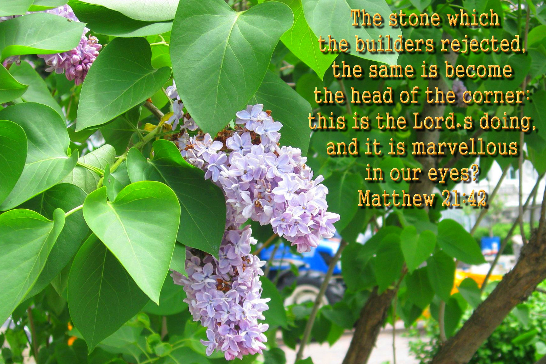 Bible Verse Spring Wallpapers - Wallpaper Cave