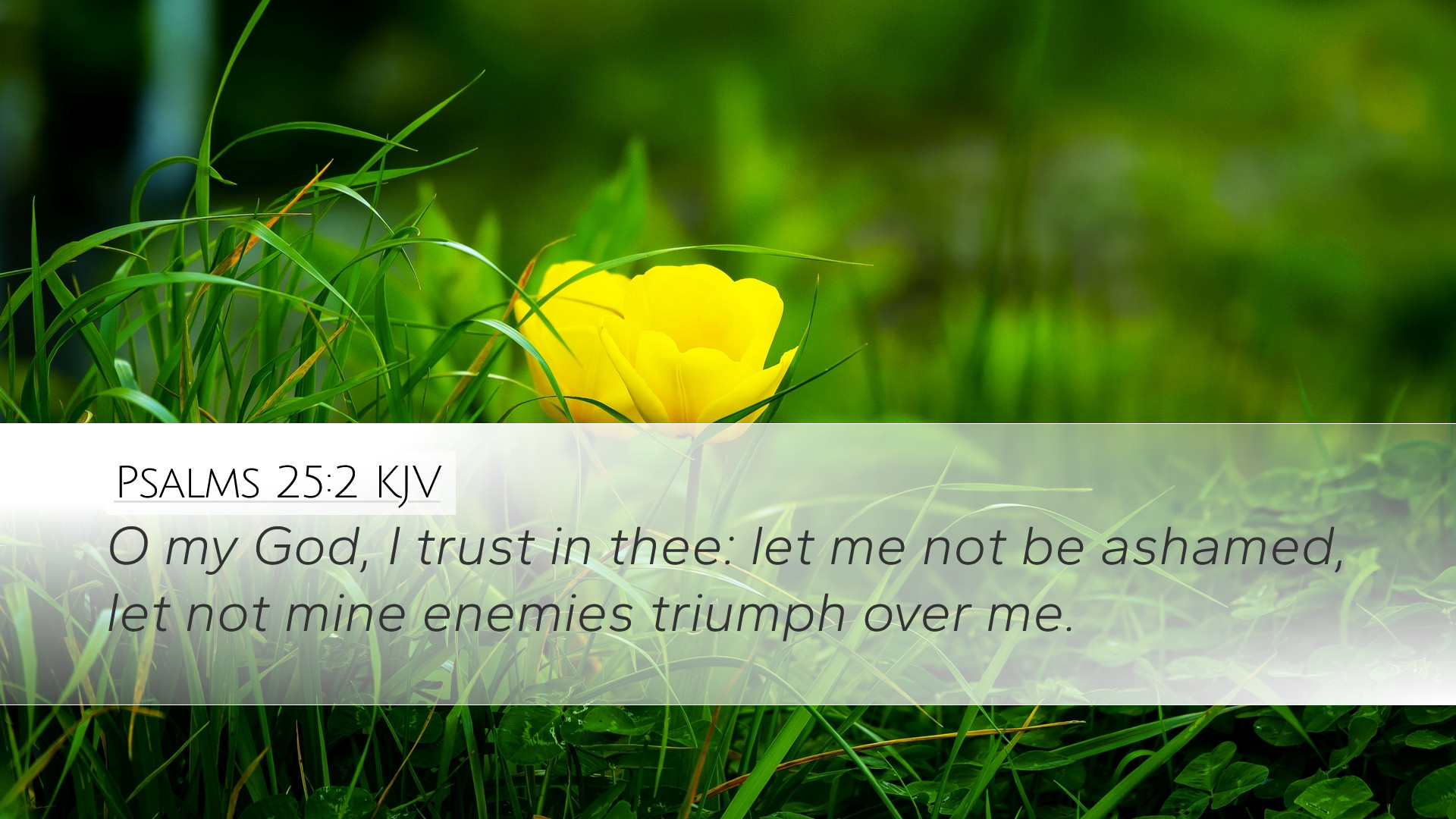 Bible Verse Spring Wallpapers Wallpaper Cave bible-verse-spring-wallpapers-wallpaper-cave