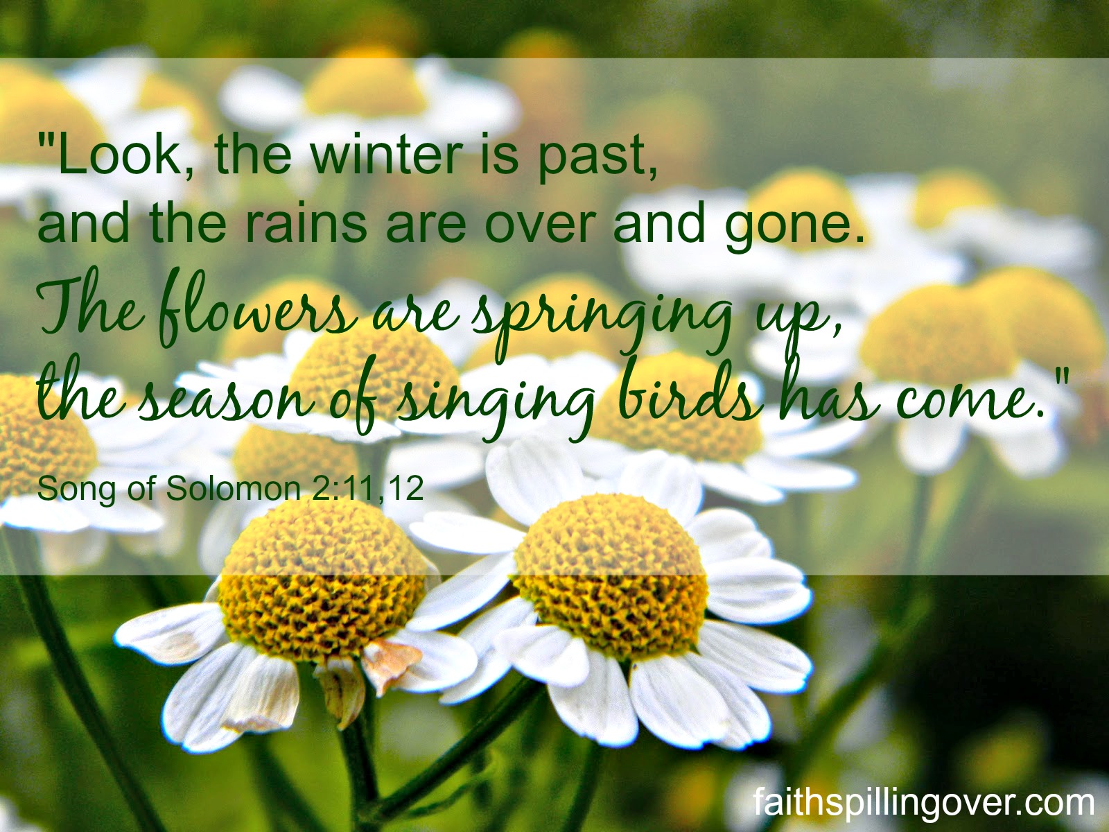 Bible Verse Spring Wallpapers - Wallpaper Cave