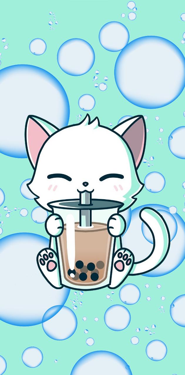 Boba Cats Wallpapers - Wallpaper Cave