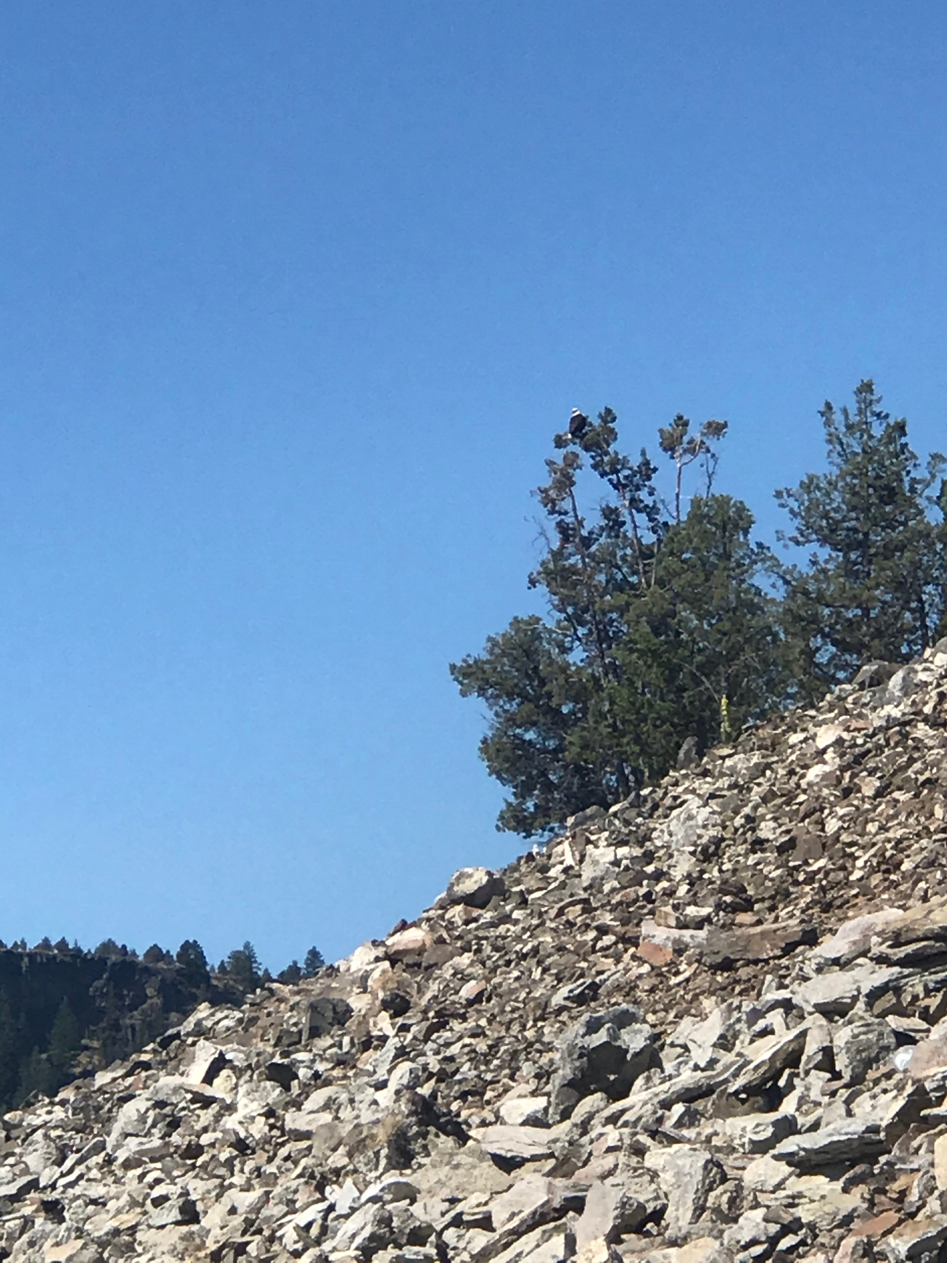 Ochoco Wallpapers - Wallpaper Cave