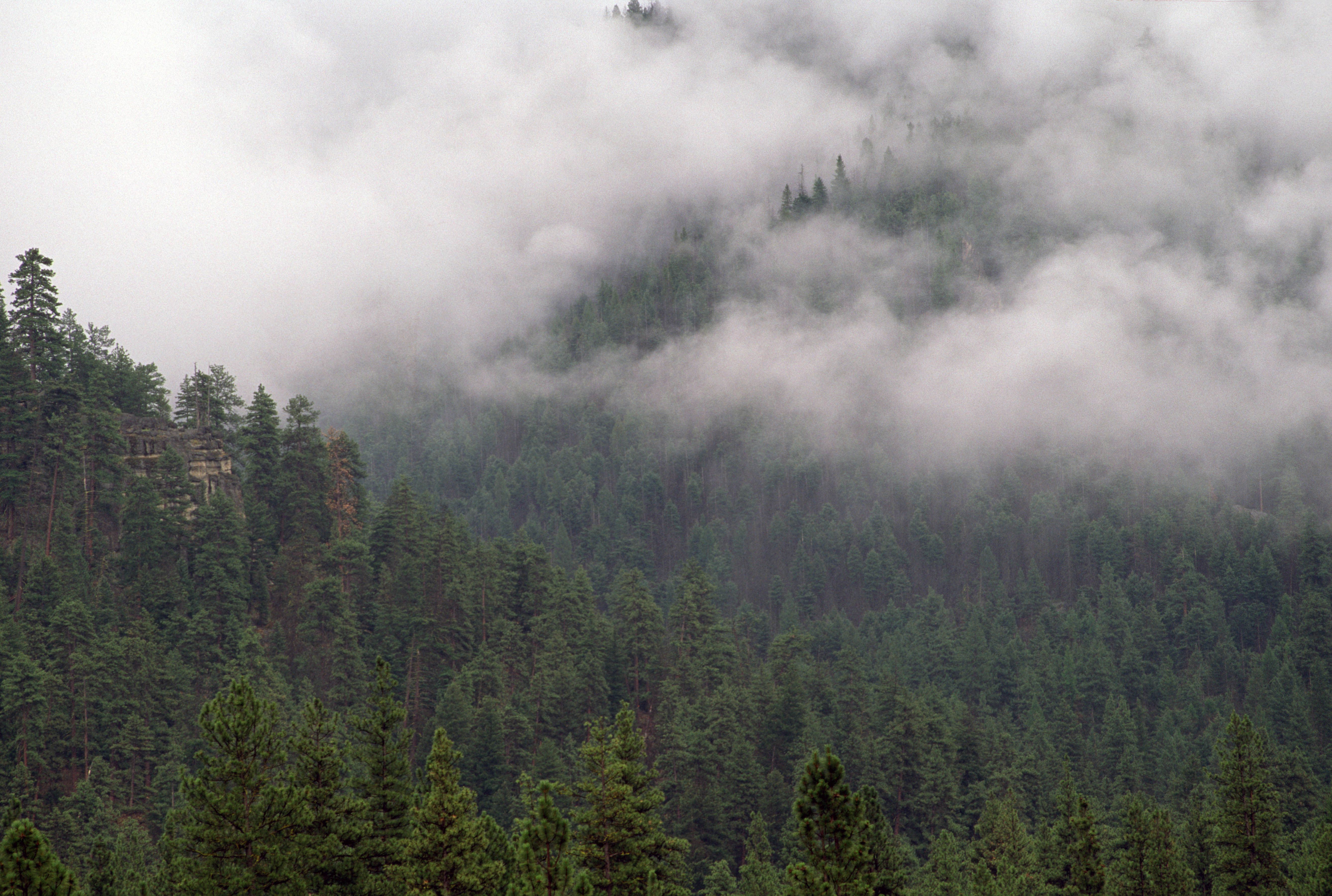 Ochoco Wallpapers - Wallpaper Cave