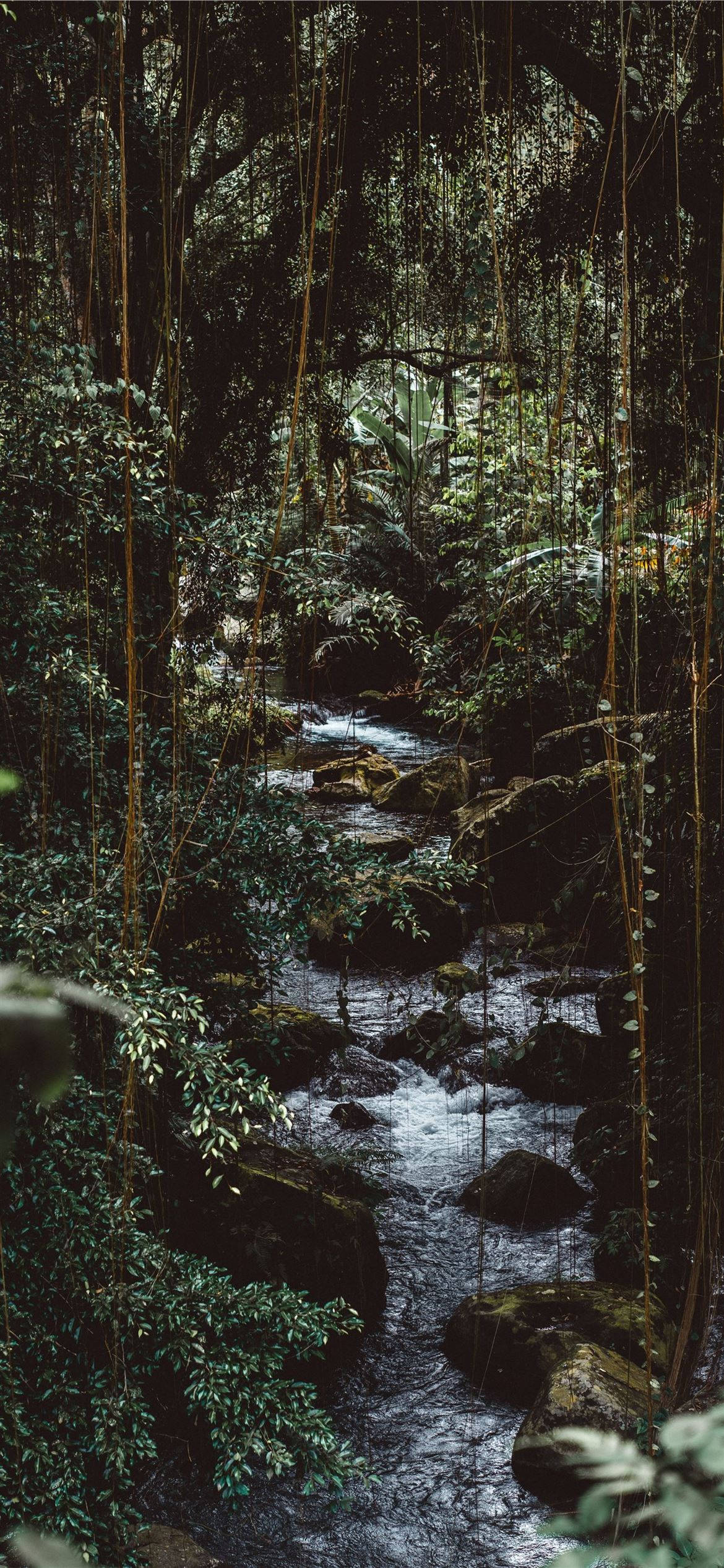 Forest Spring Water Wallpapers - Wallpaper Cave