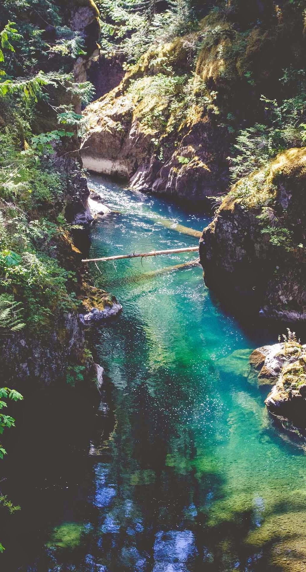 Forest Spring Water Wallpapers - Wallpaper Cave