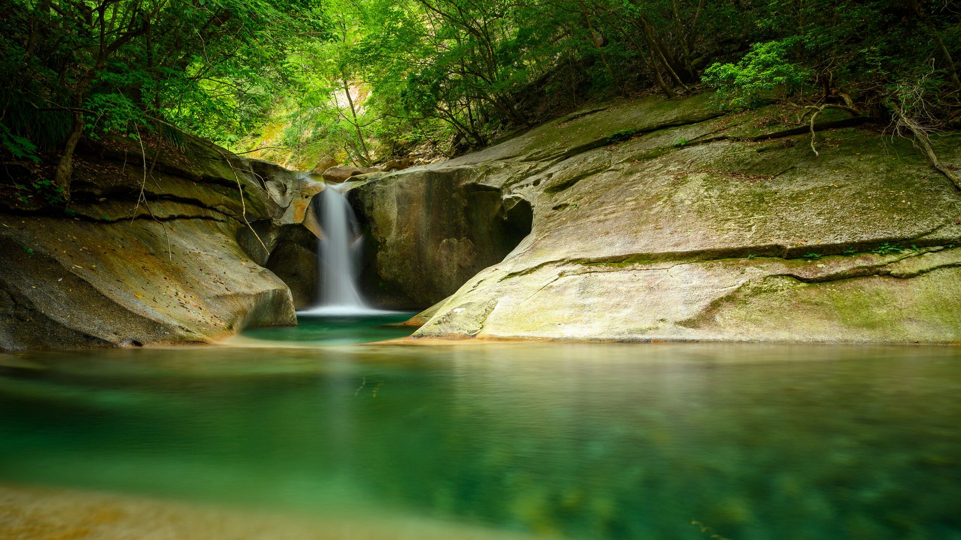Forest Spring Water Wallpapers - Wallpaper Cave