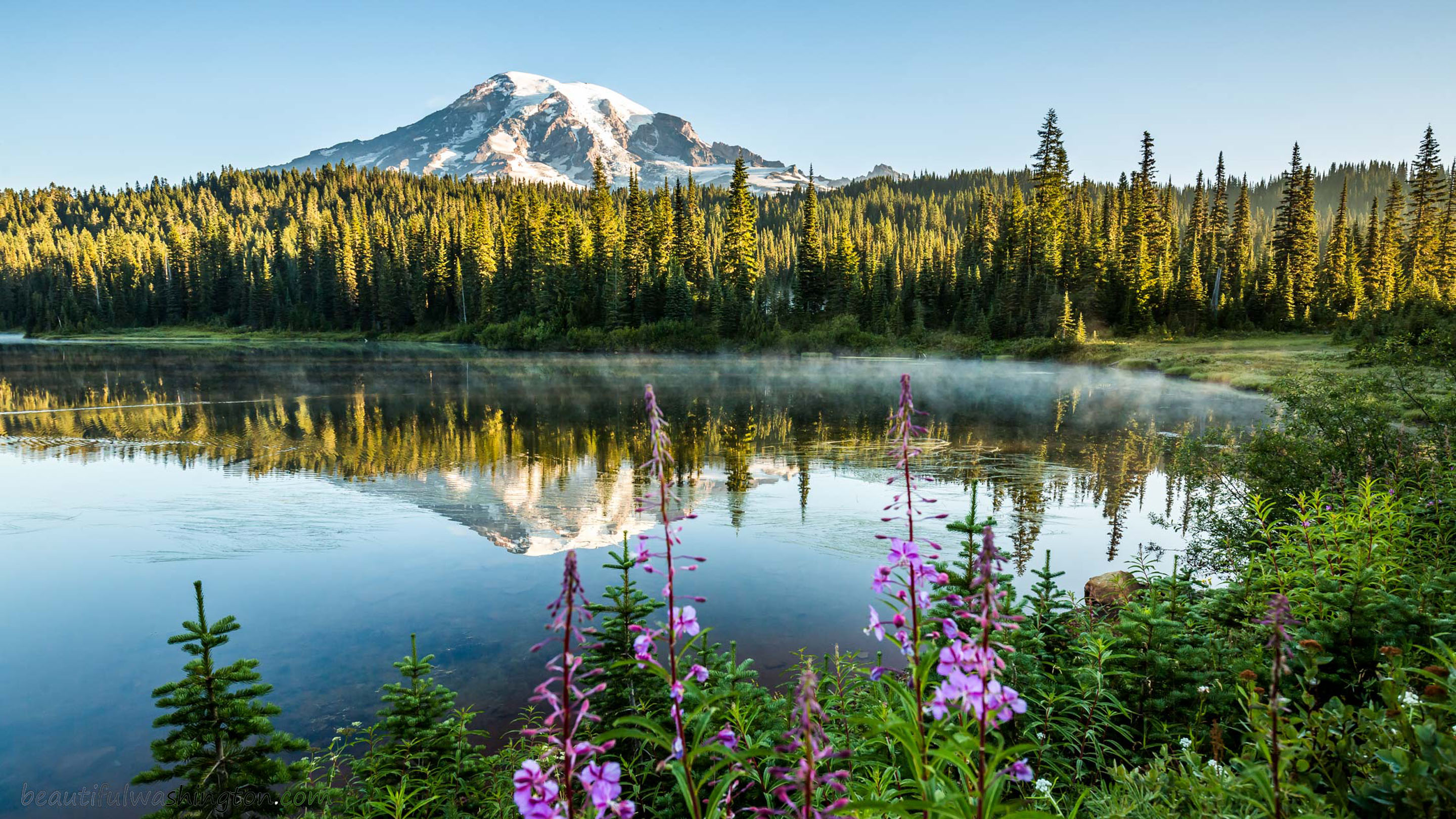 Forest Spring Water Wallpapers - Wallpaper Cave