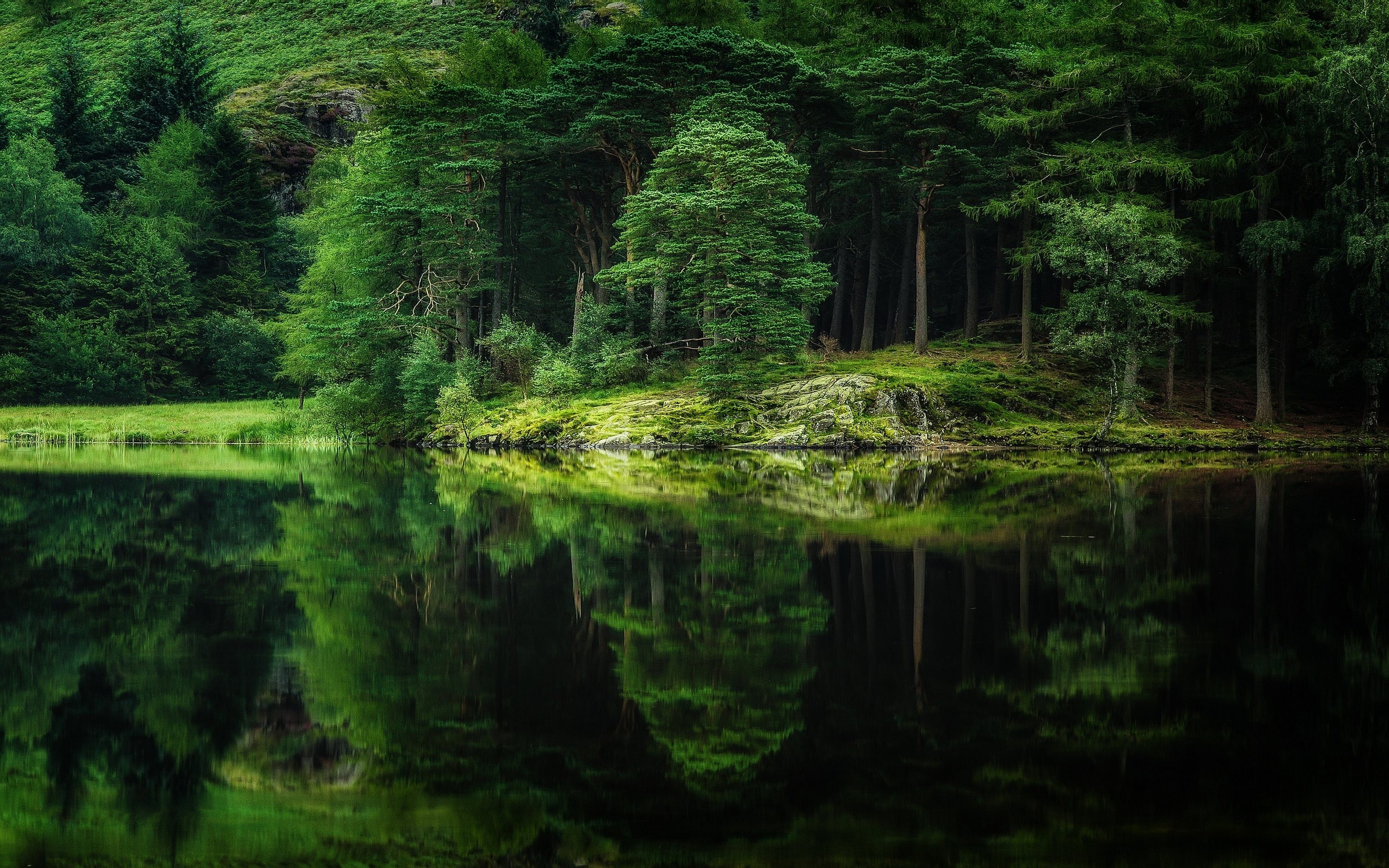 Forest Spring Water Wallpapers - Wallpaper Cave