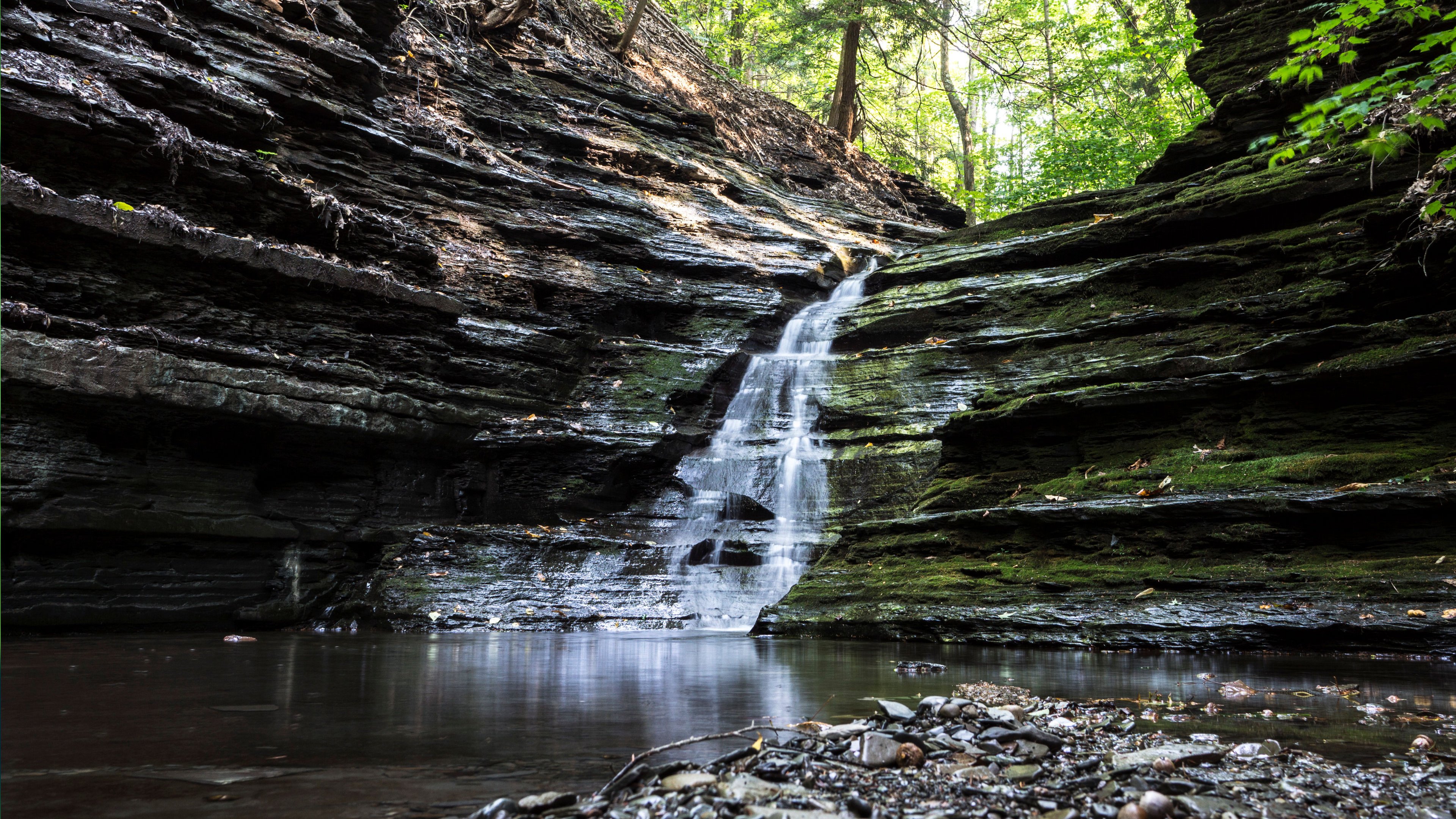 Forest Spring Water Wallpapers - Wallpaper Cave