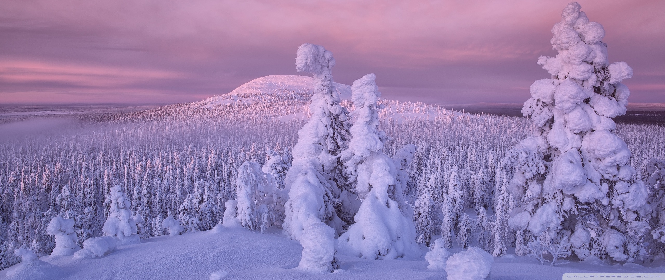 Winter Sport Ultrawide Wallpapers - Wallpaper Cave