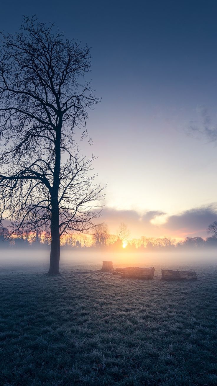 Morning Sunrise HD Mobile Wallpapers - Wallpaper Cave