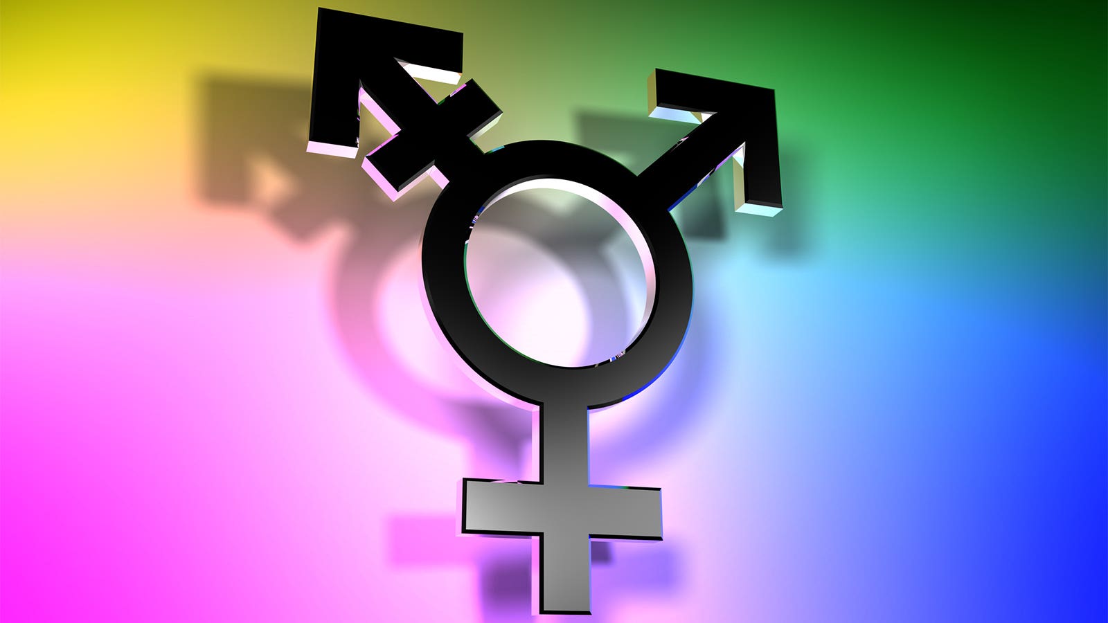 Transgender Sign Wallpapers - Wallpaper Cave