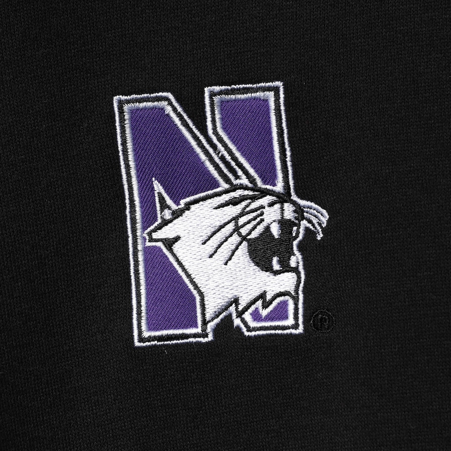 Northwestern Wildcats Wallpapers - Wallpaper Cave