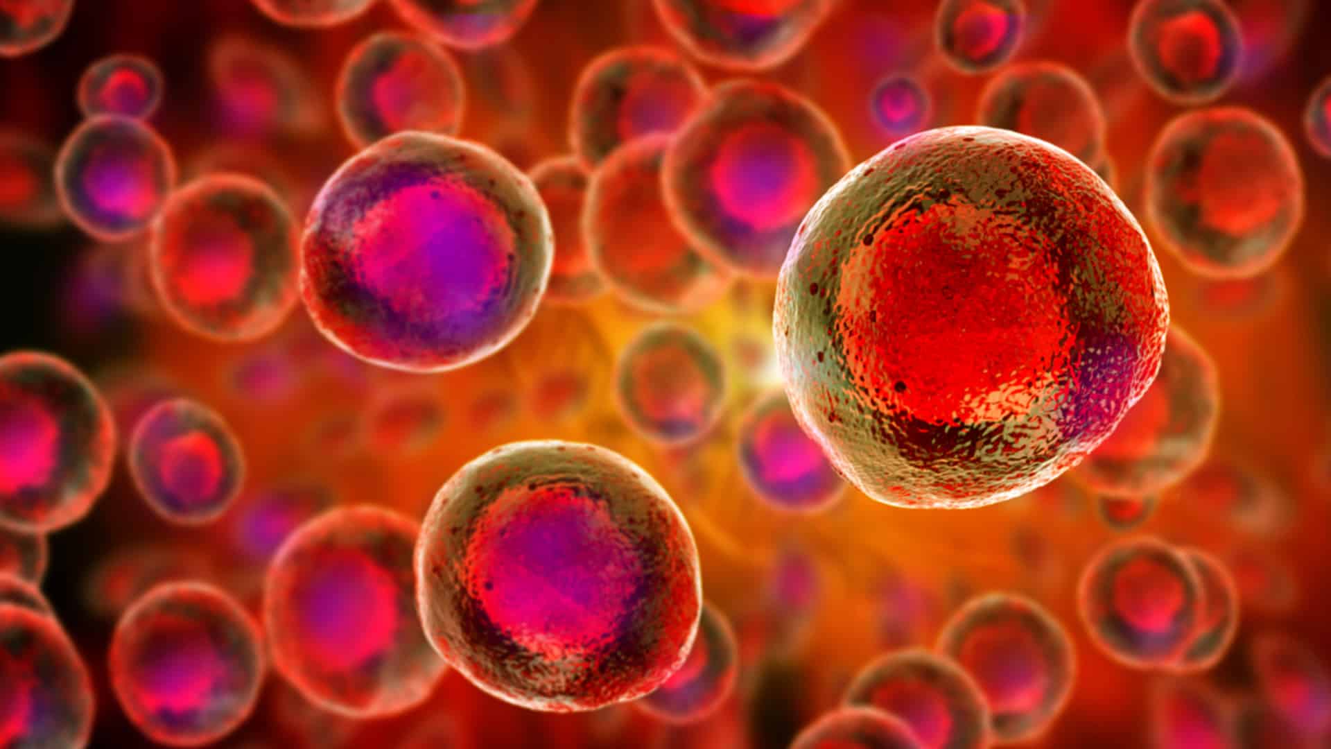Stem Cell Wallpapers - Wallpaper Cave