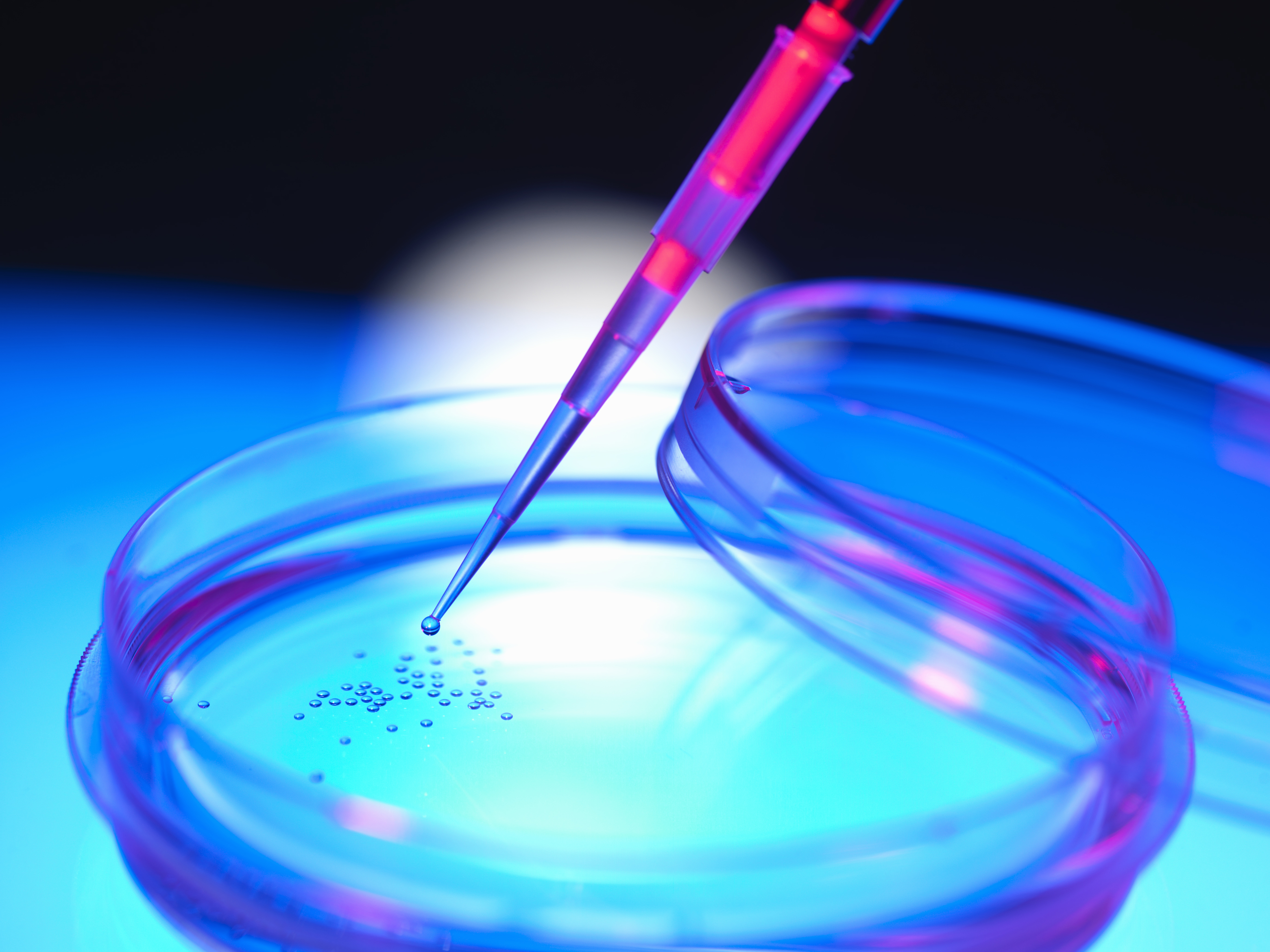 Stem Cell Wallpapers - Wallpaper Cave