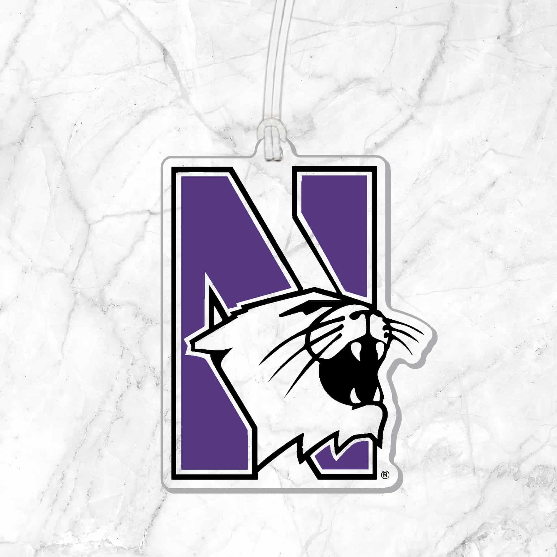 Northwestern Wildcats Wallpapers - Wallpaper Cave