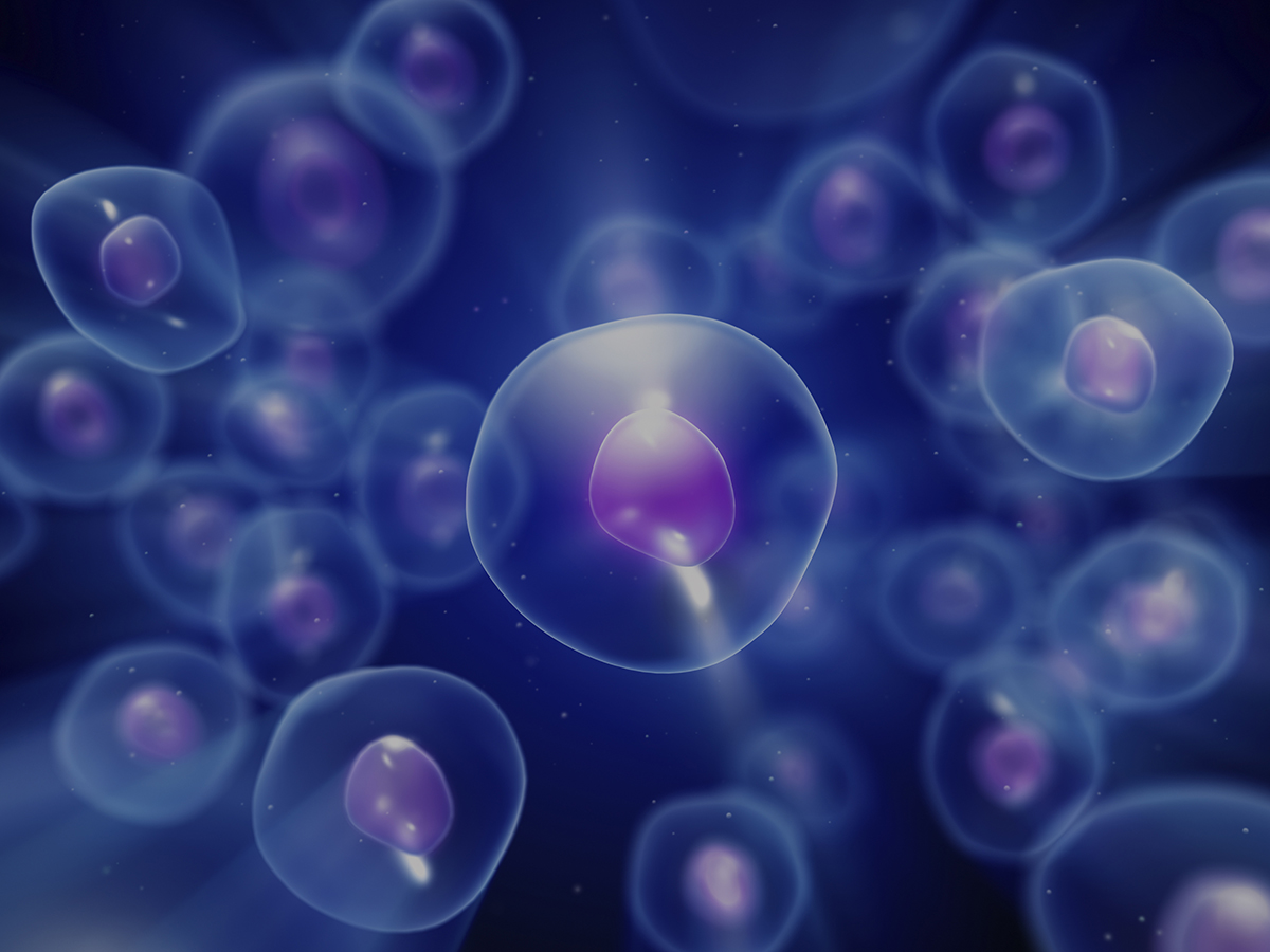 Stem Cell Wallpapers - Wallpaper Cave