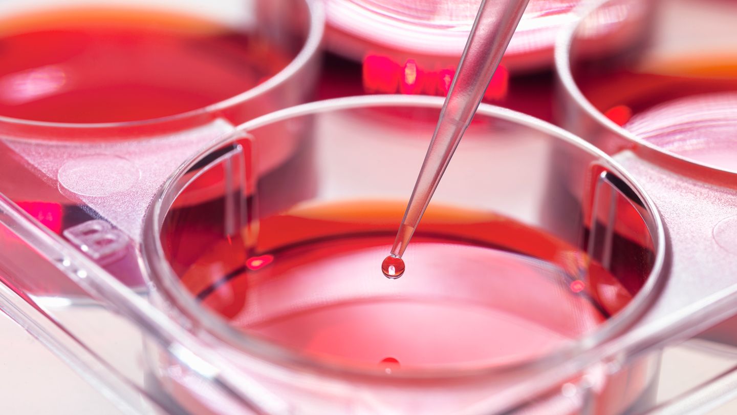 Stem Cell Wallpapers - Wallpaper Cave