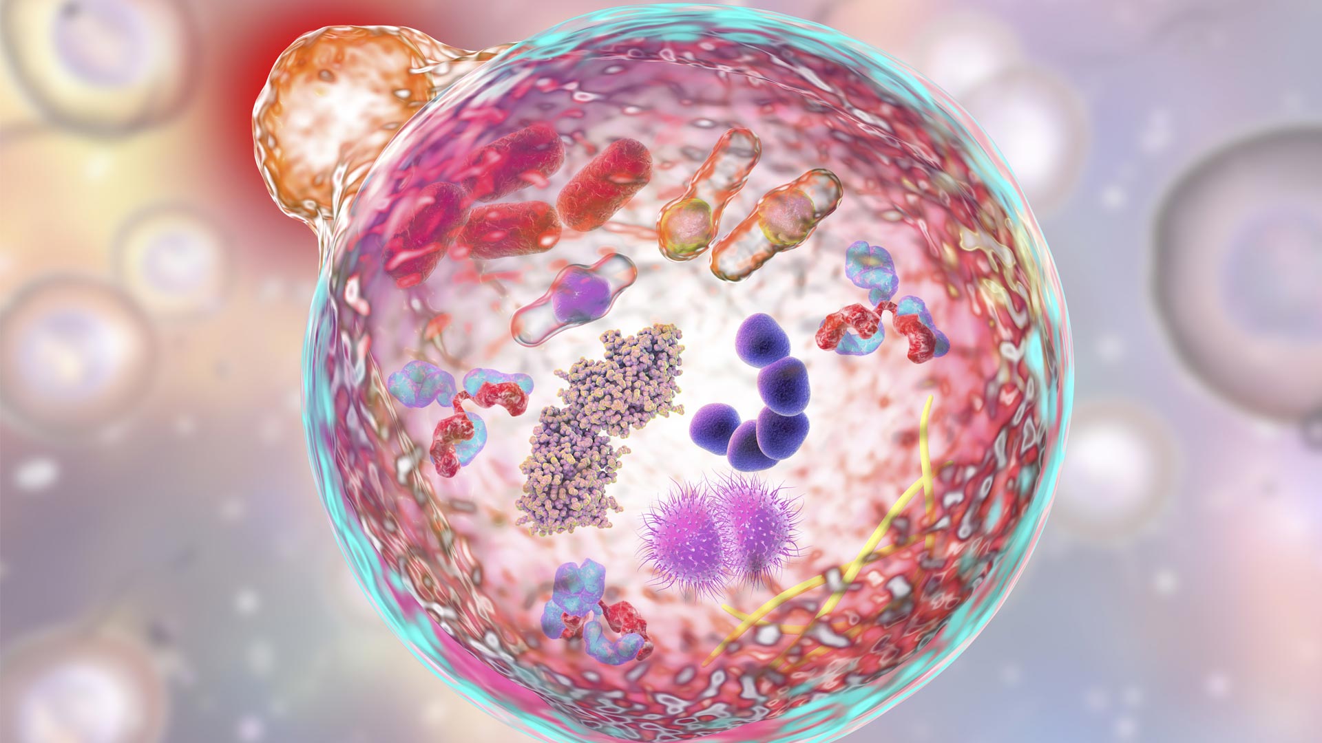 Stem Cell Wallpapers - Wallpaper Cave