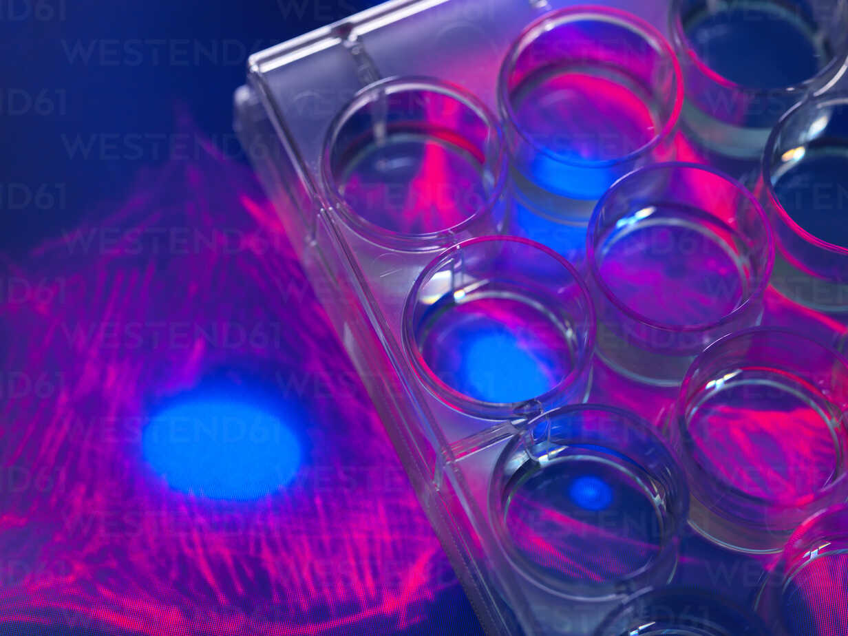 Stem Cell Wallpapers - Wallpaper Cave